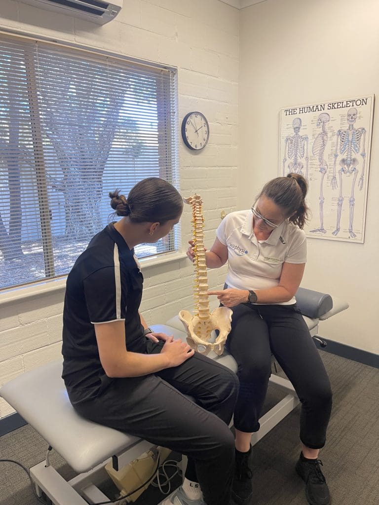 The Anatomy of the Spine: How It Works - Kalamunda Physiotherapy Centre